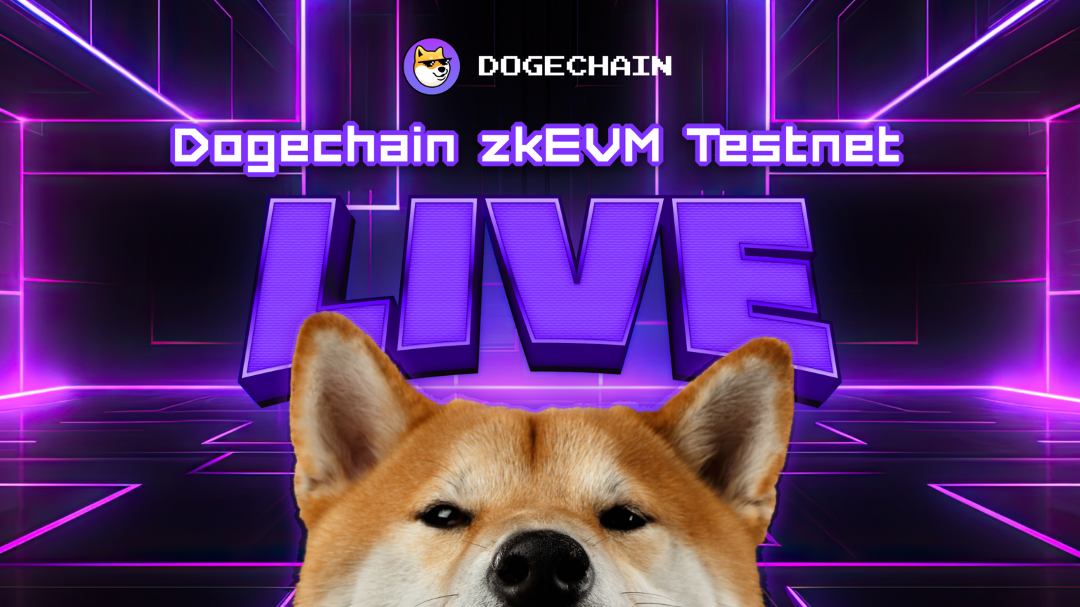 Dogechain zkEVM Testnet on Polygon CDK is LIVE! - Official Dogechain Blog